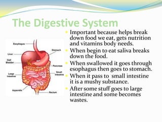 The digestive system | PPTX | Nutrition | Healthy Living