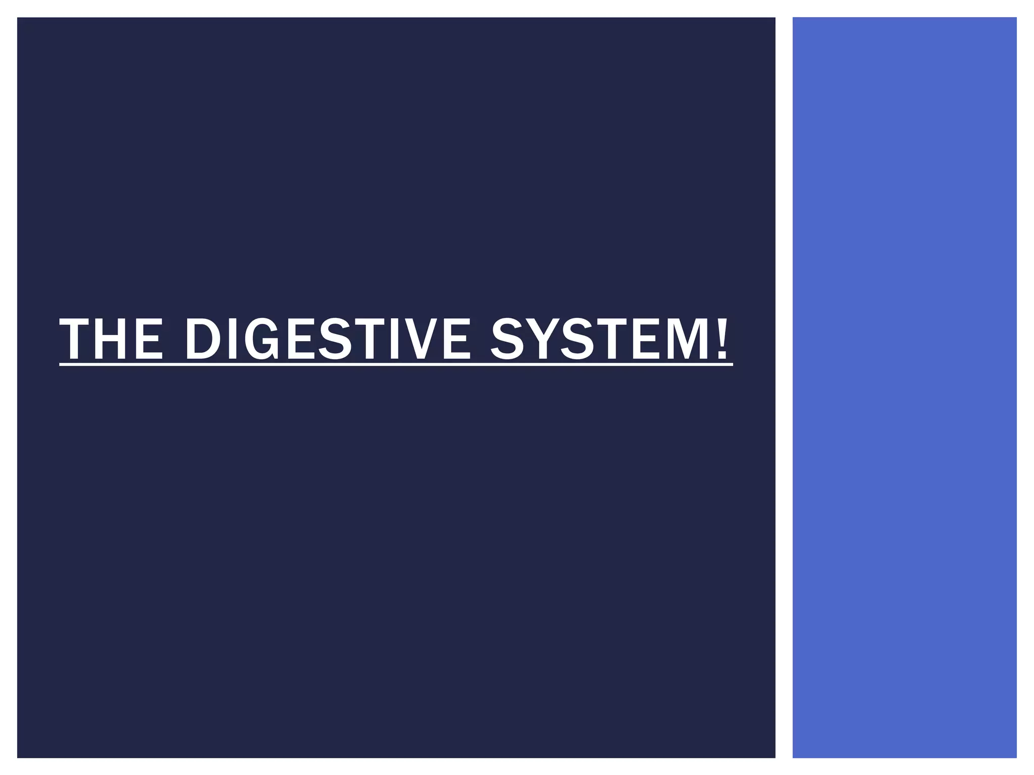 The digestive system | PPTX