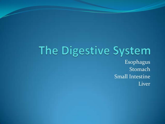 The digestive system | PPT