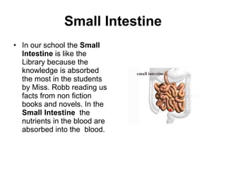 The digestive system | PPT