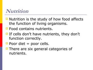 The digestive system | PPT