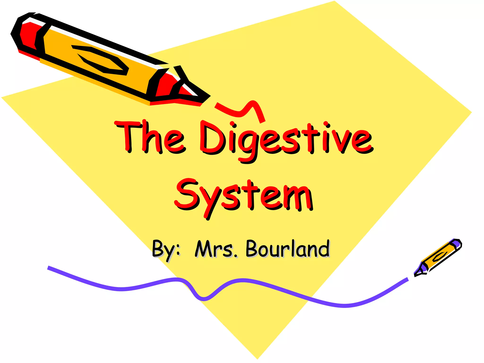 The Digestive System | PPT | Nutrition | Healthy Living