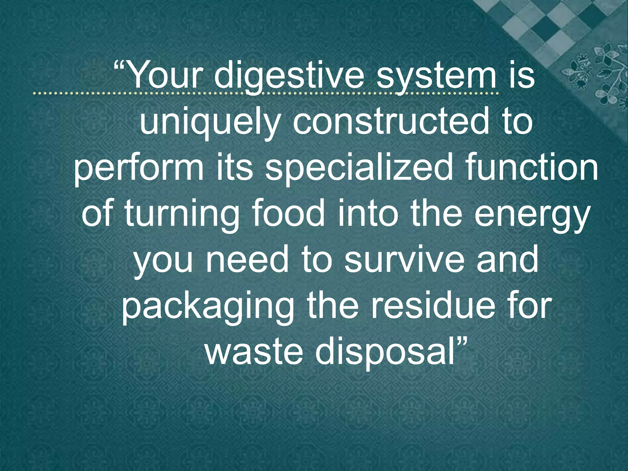 The digestive system | PPTX