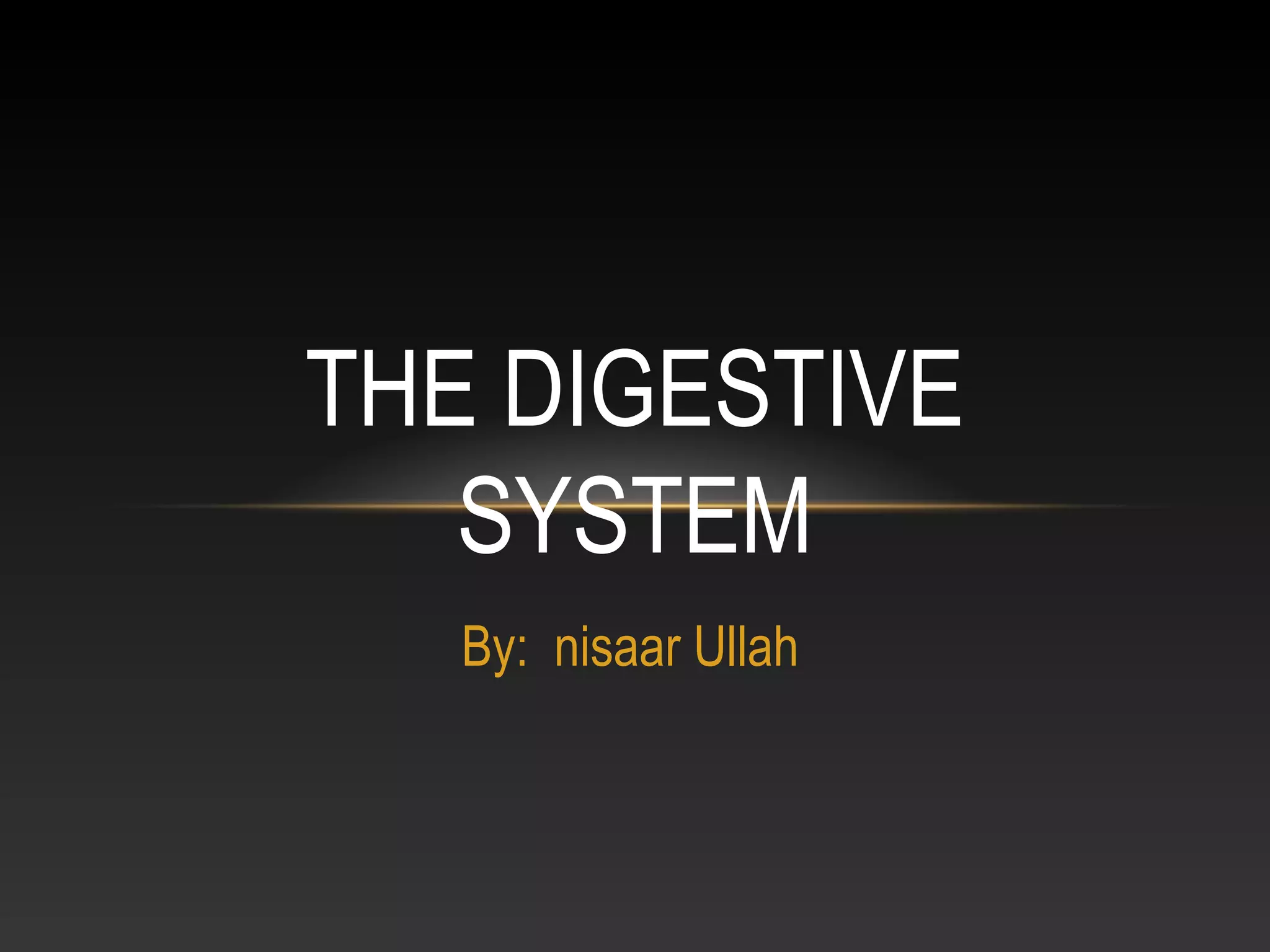 The human digestive system | PPT