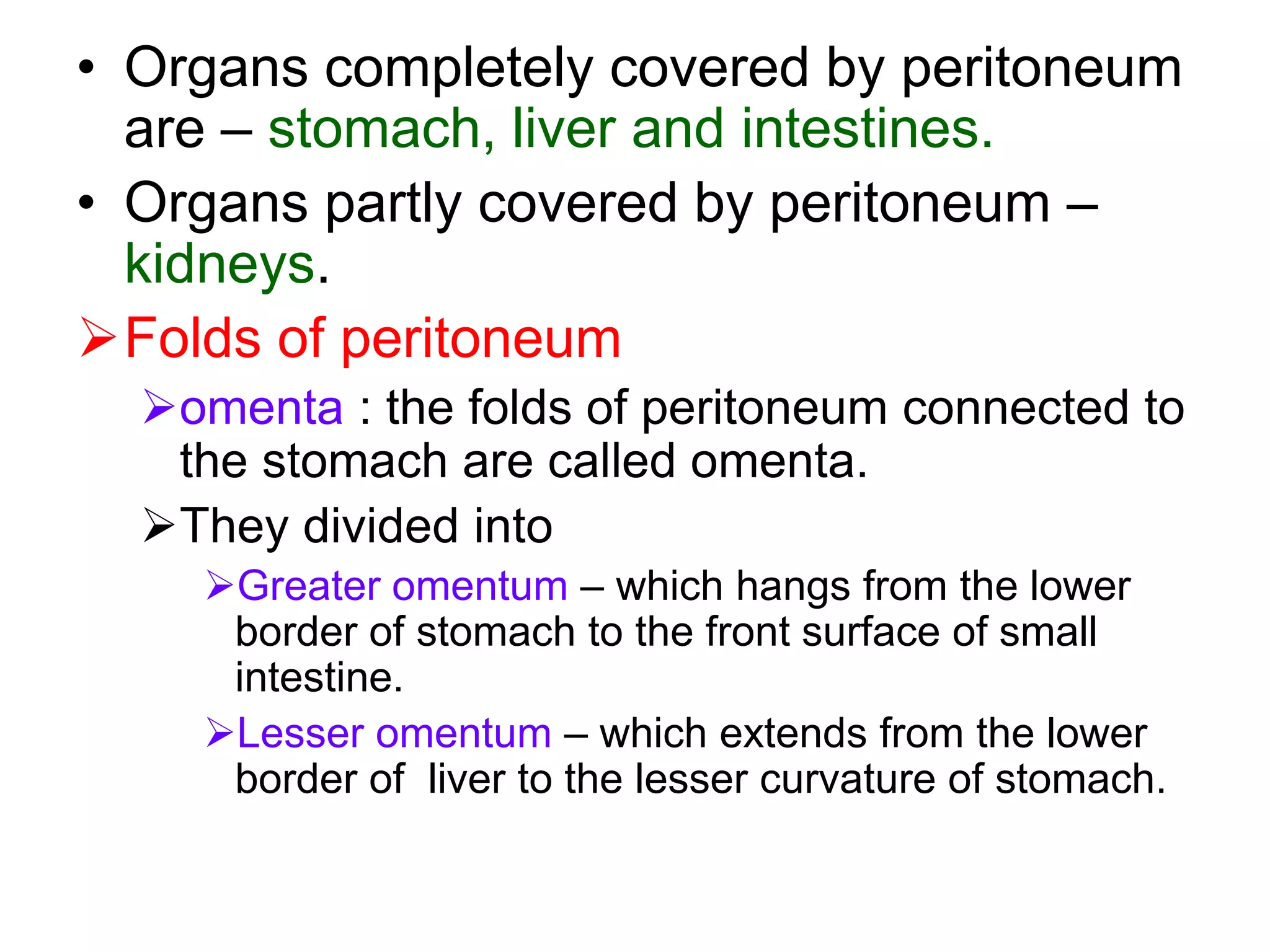 The digestive system | PDF