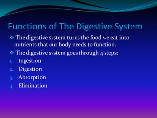 The digestive system SSAS | PPT