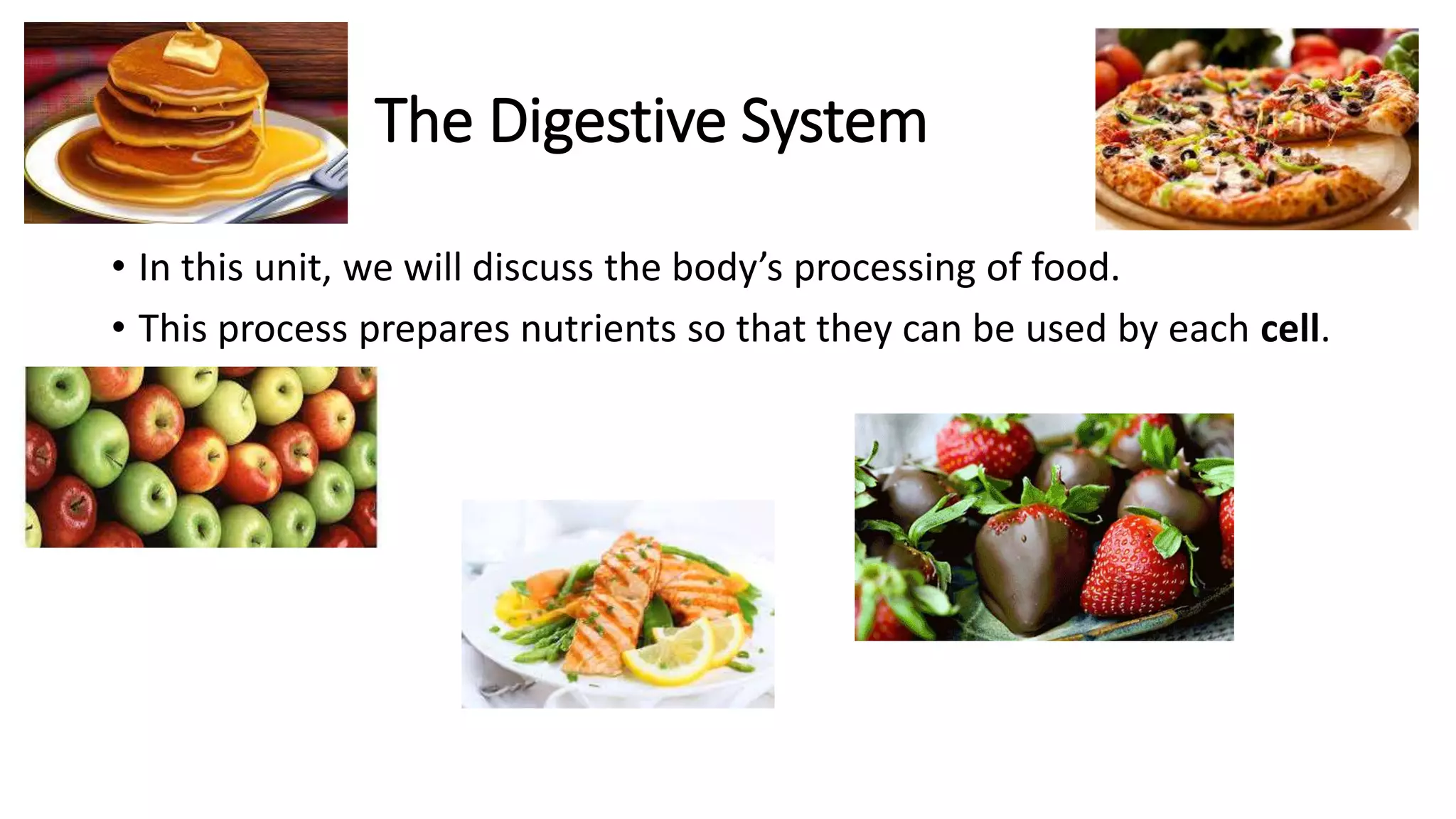 The digestive system Health Occupations Salinas CA | PPT