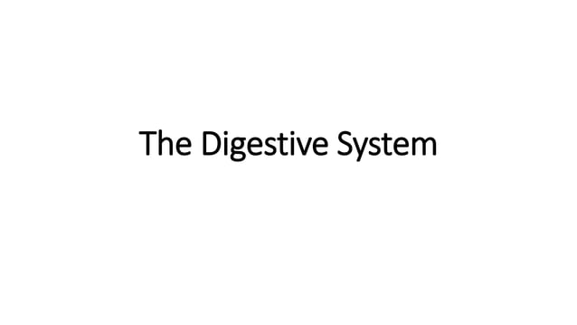 The digestive system Health Occupations Salinas CA | PPT