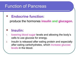 The digestive system | PPT