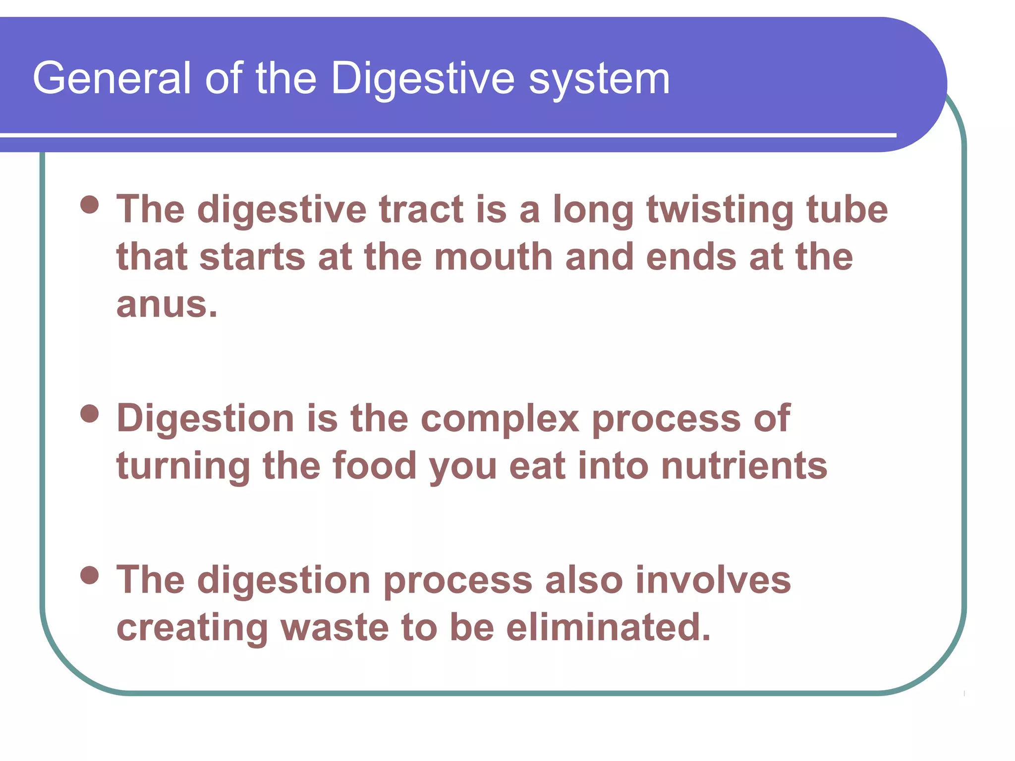 The digestive system | PPT