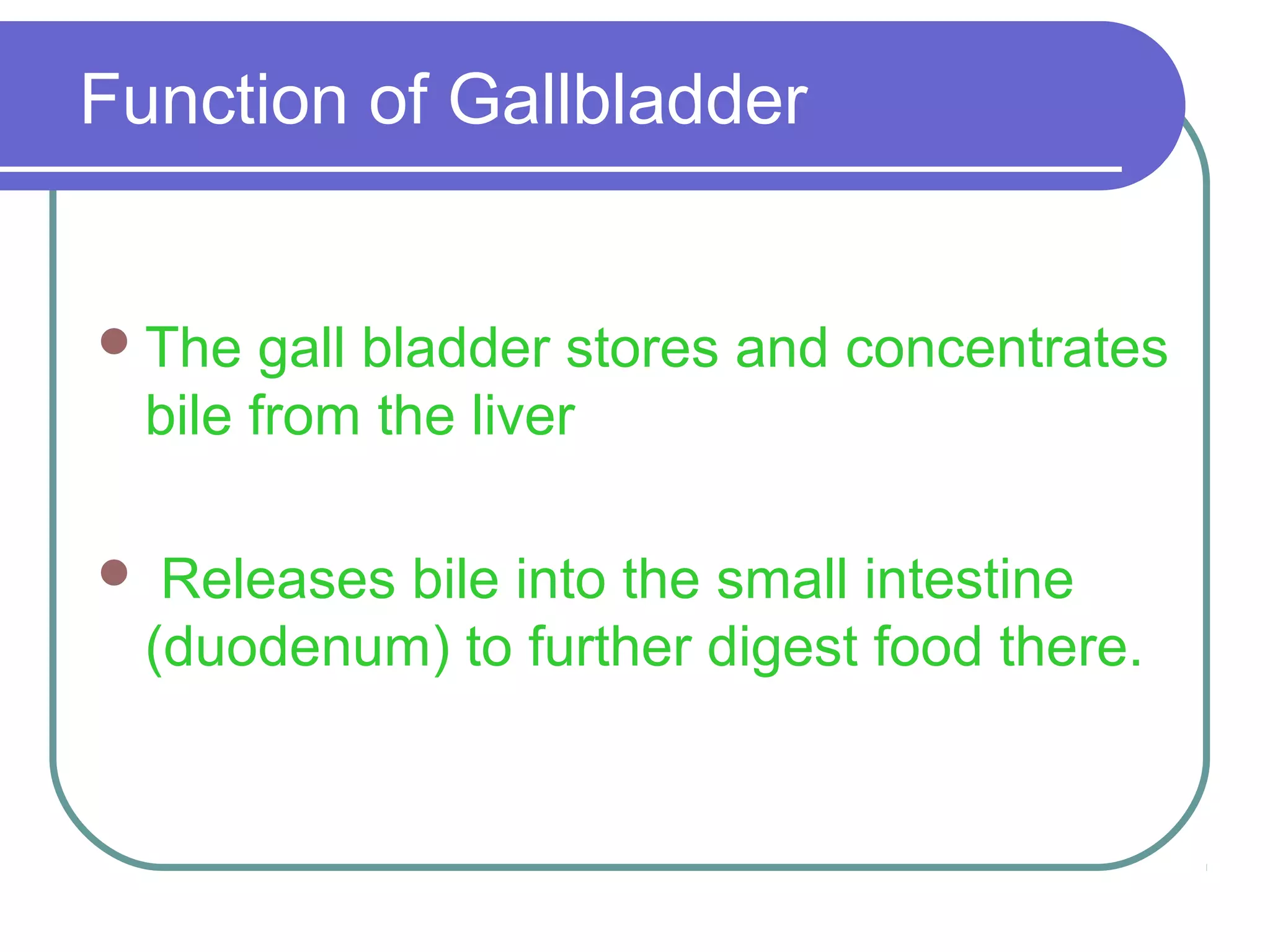 The digestive system | PPT