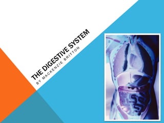 The digestive system | PPTX
