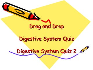 The digestive system | PPT