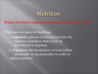 The digestivesystem | PPT | Digestive Disorders | Diseases and Conditions