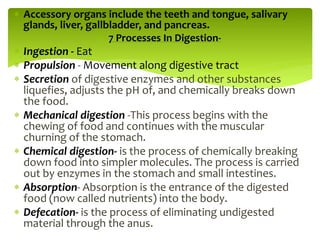 The digestive system | PPTX