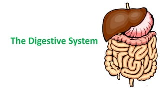 The digestive system | PPTX