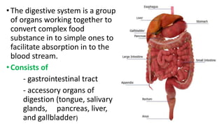 The digestive system | PPTX