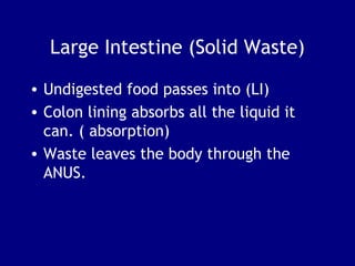 The digestive system | PPT