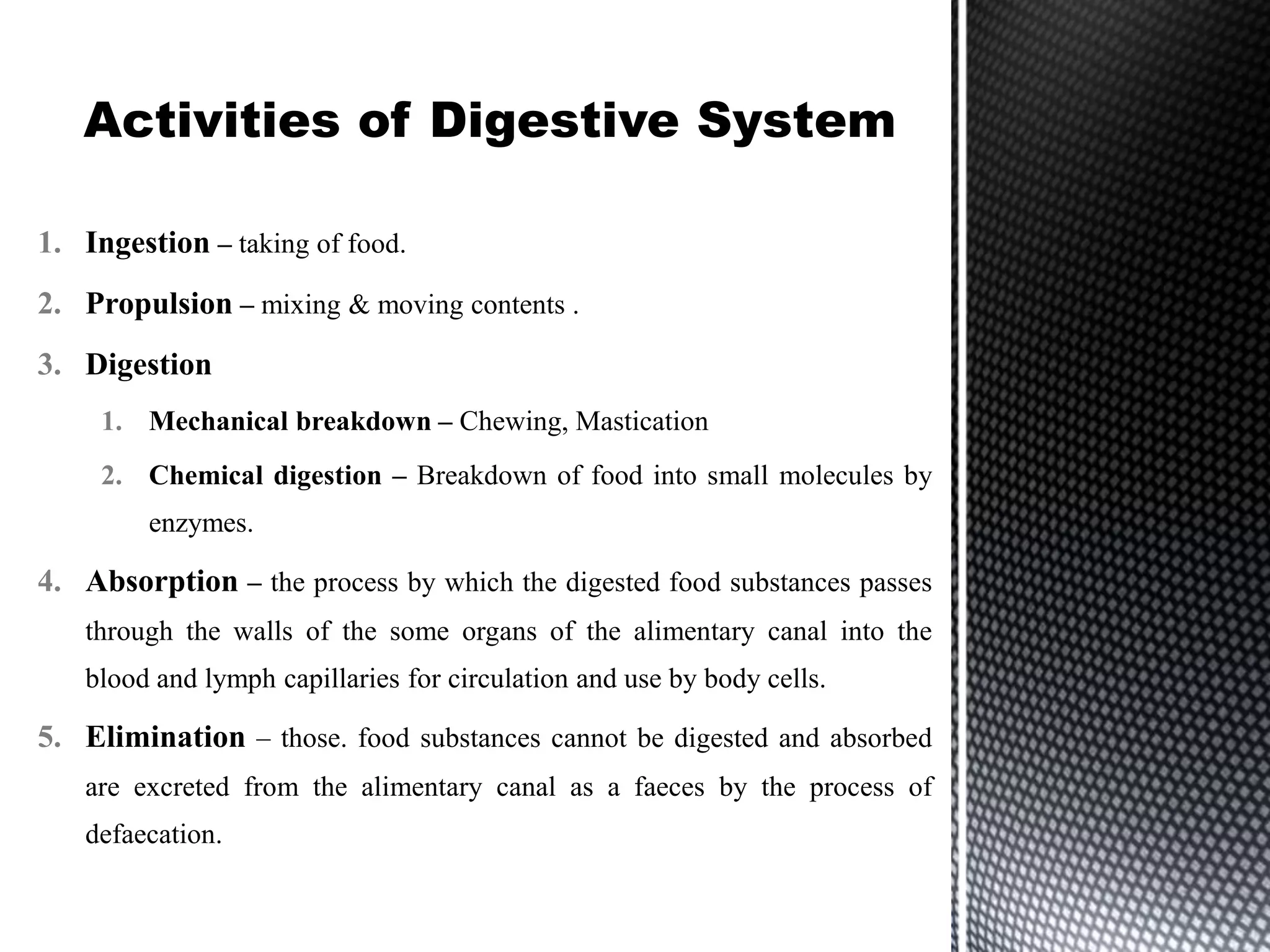 The digestive system | PPTX