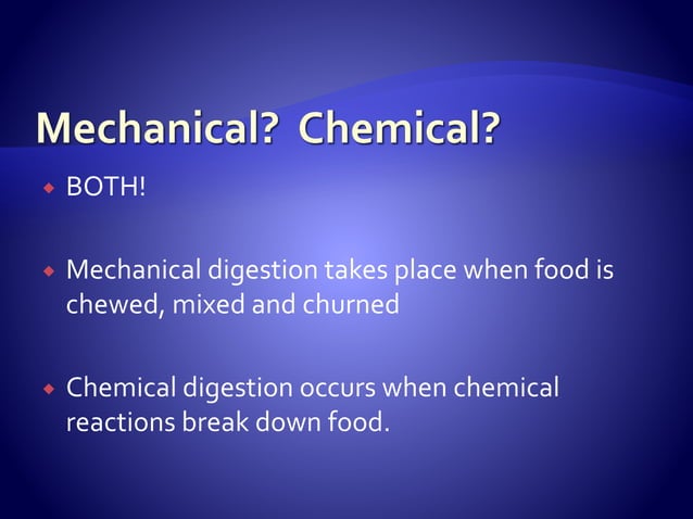 The digestive system | PPT