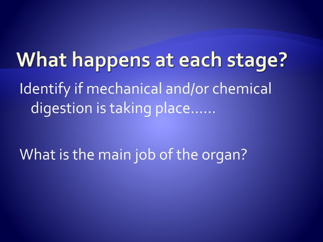 The digestive system | PPT