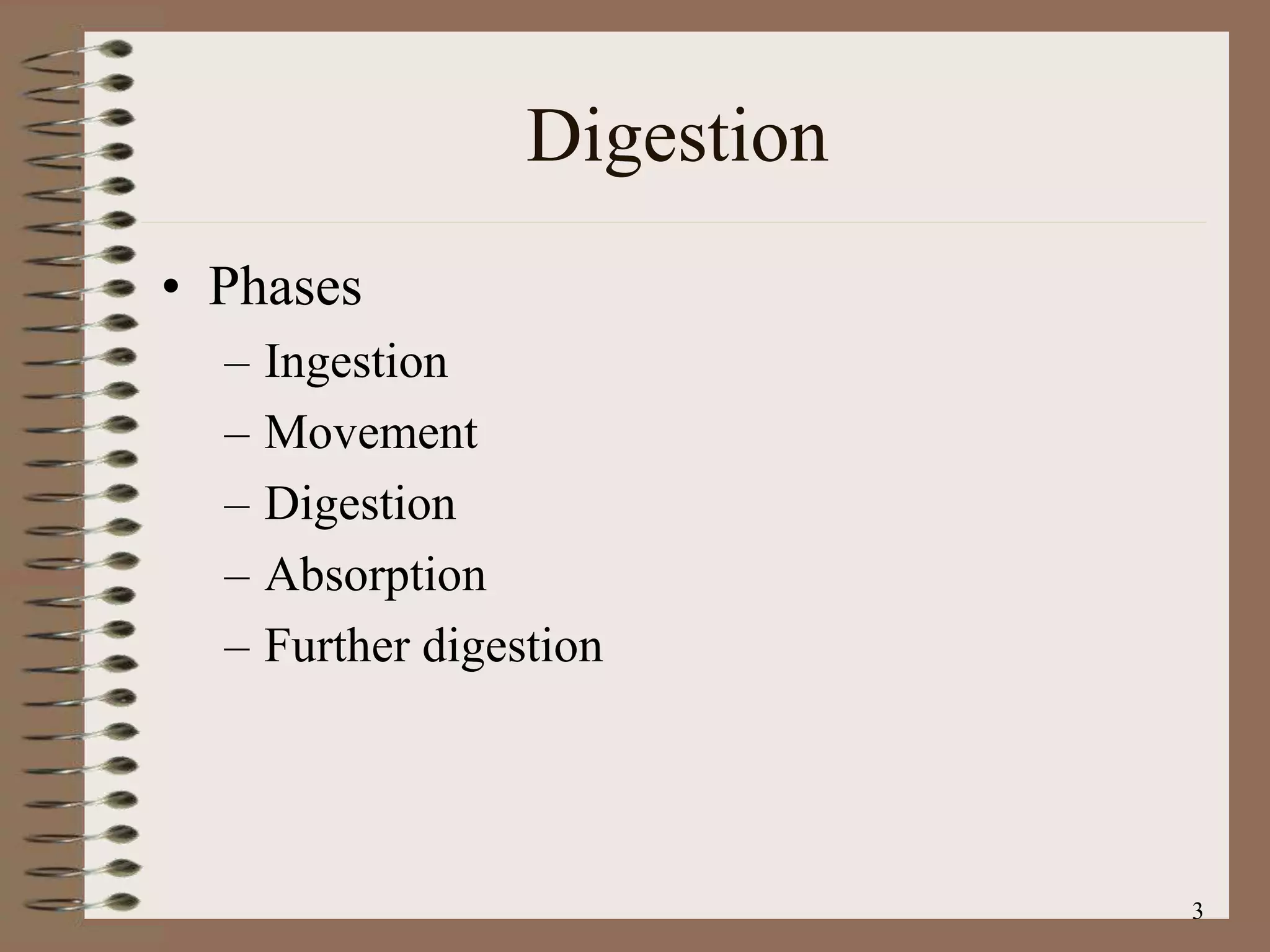 The digestive system | PPT
