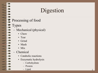 The digestive system | PPT