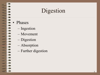 The digestive system | PPT