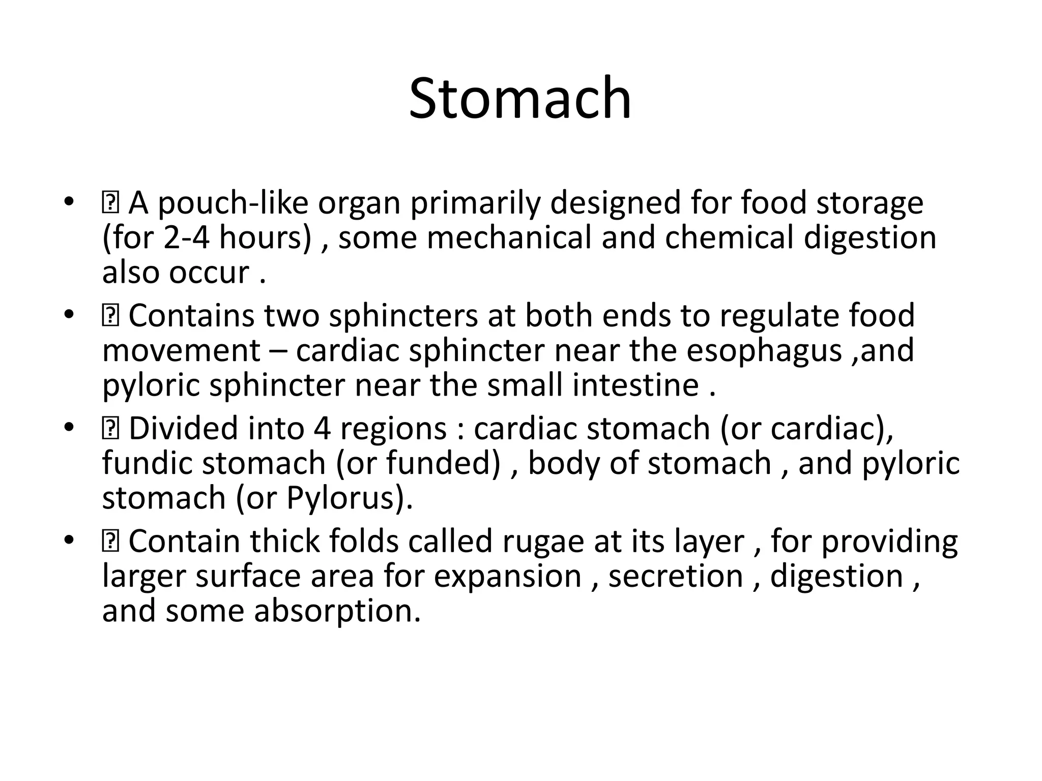 The digestive system | PPTX
