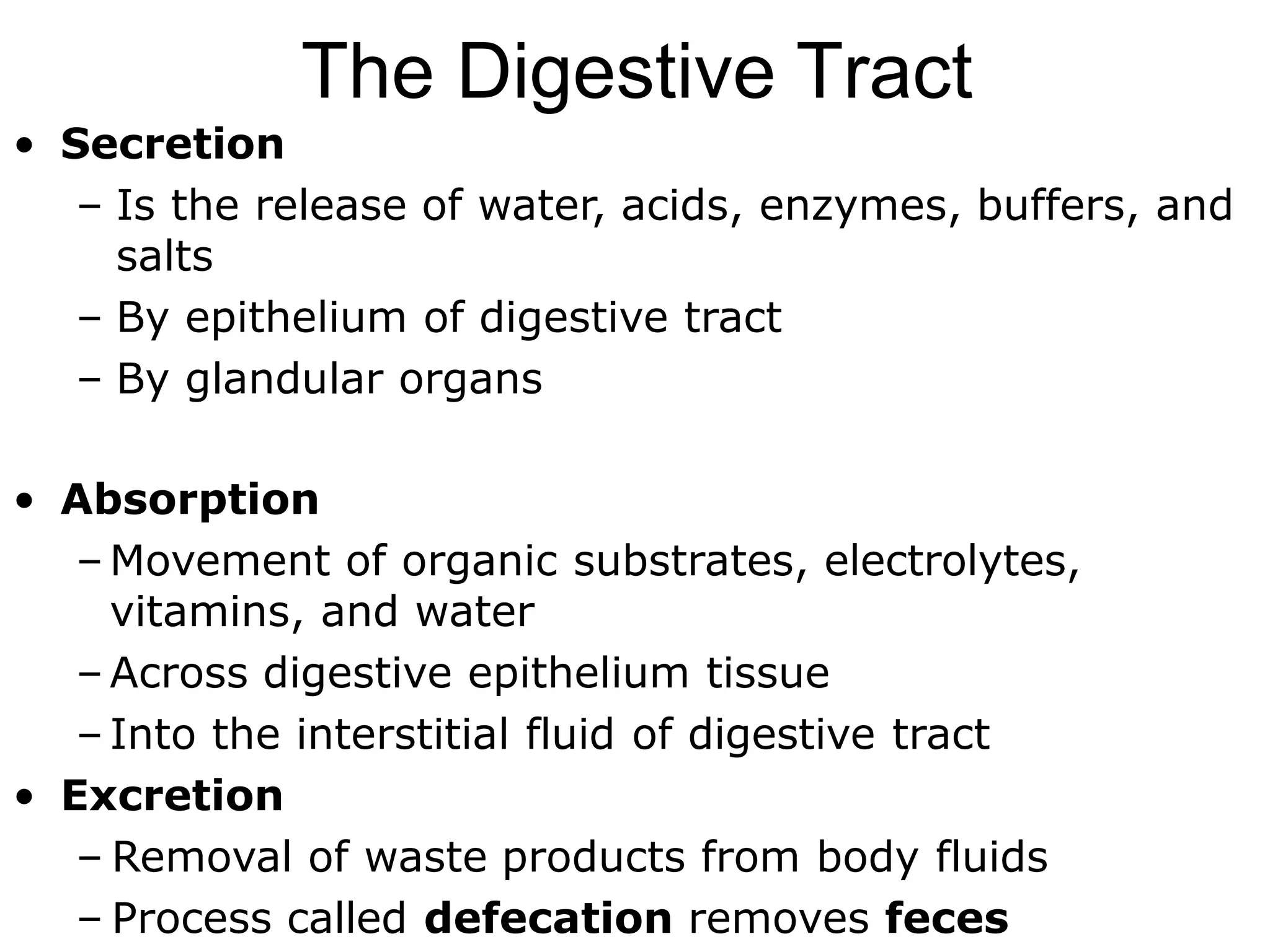The Digestive System.pptx