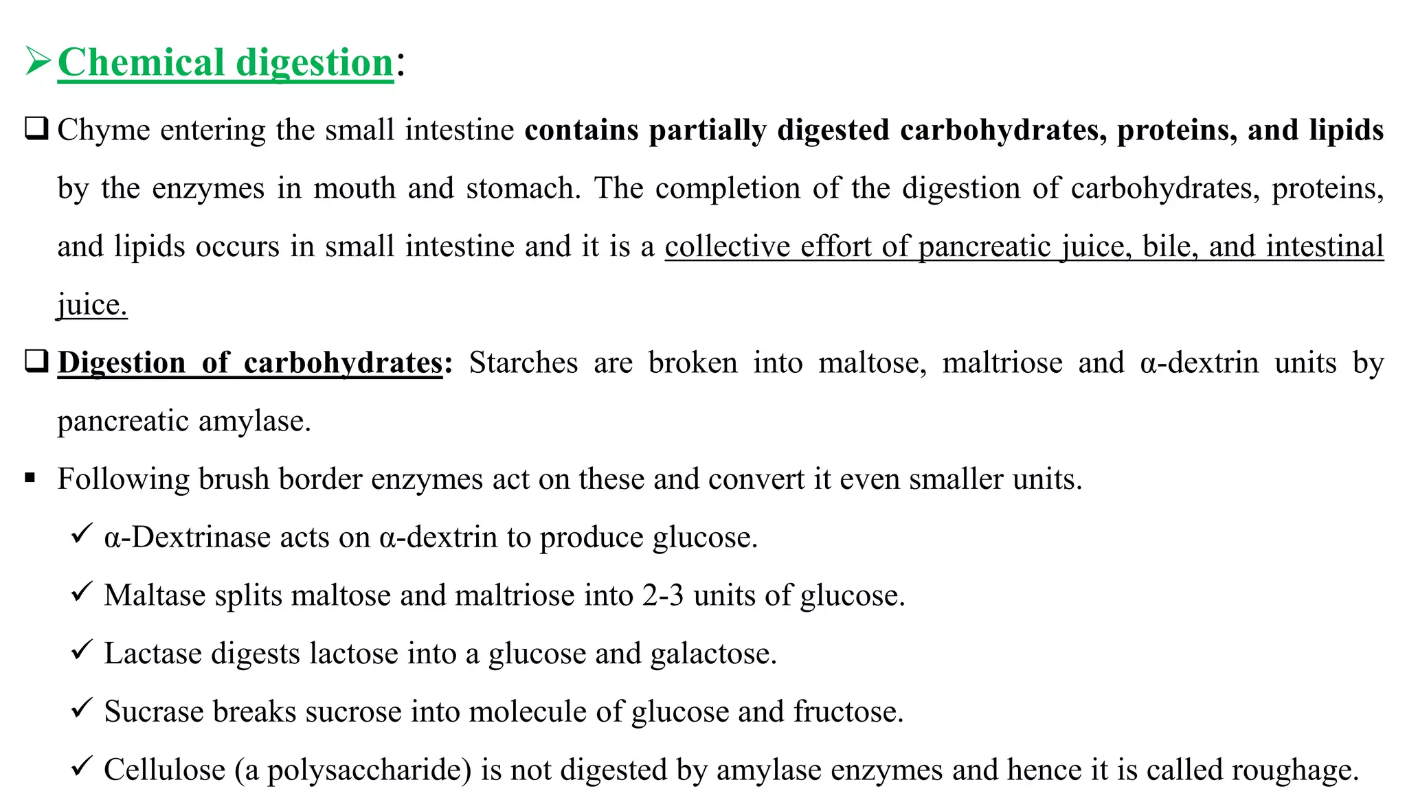 The Digestive System.pptx