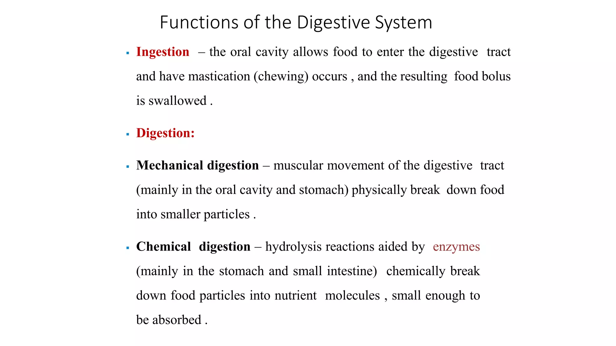 The Digestive System.pptx