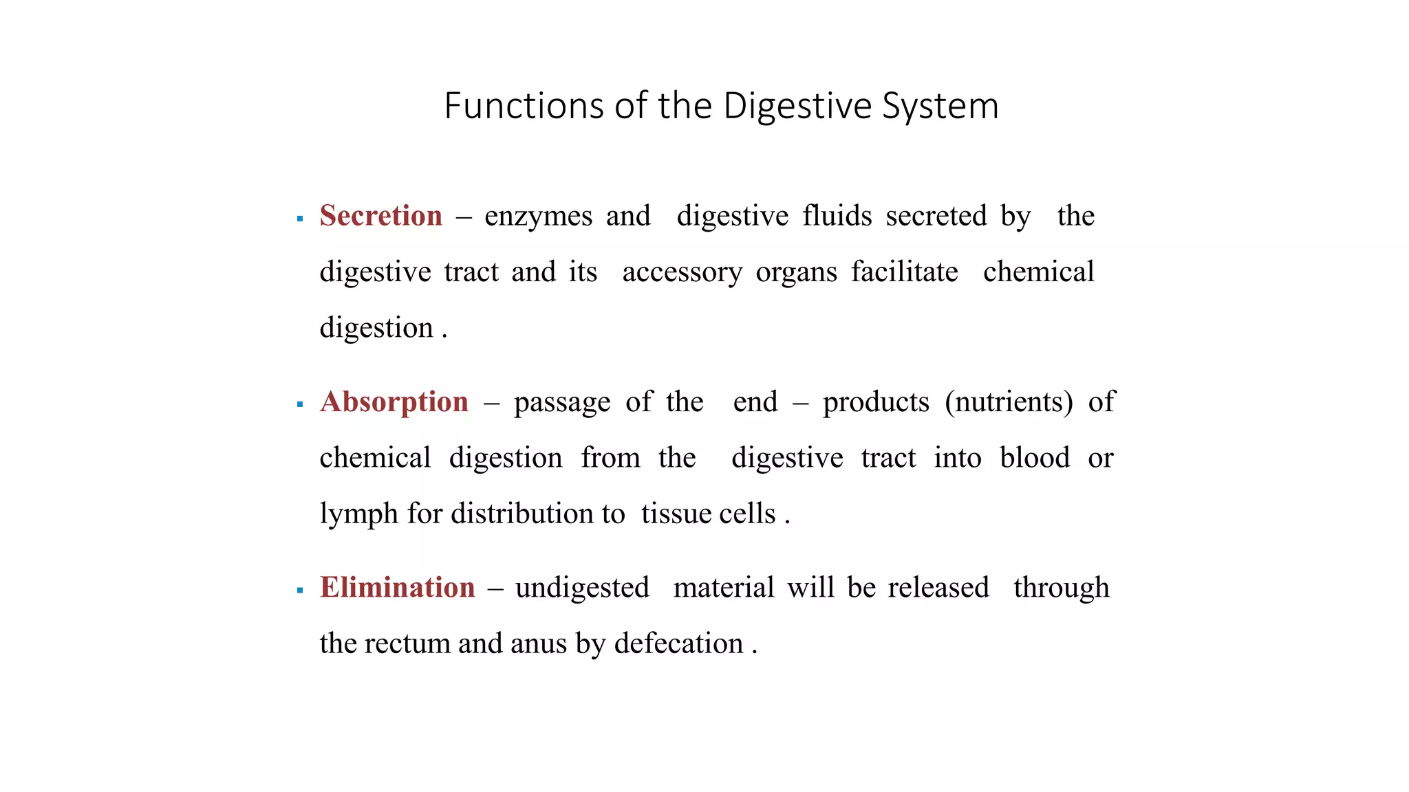 The Digestive System.pptx