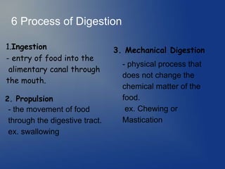 the digestive system. XTIANJOSEPHOLLIBATSE | PPT