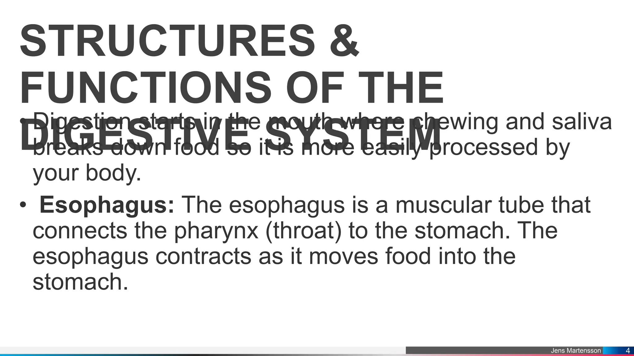 THE DIGESTIVE SYSTEM.pptx Understanding the basics of the digestive ...
