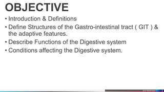 THE DIGESTIVE SYSTEM.pptx Understanding the basics of the digestive ...