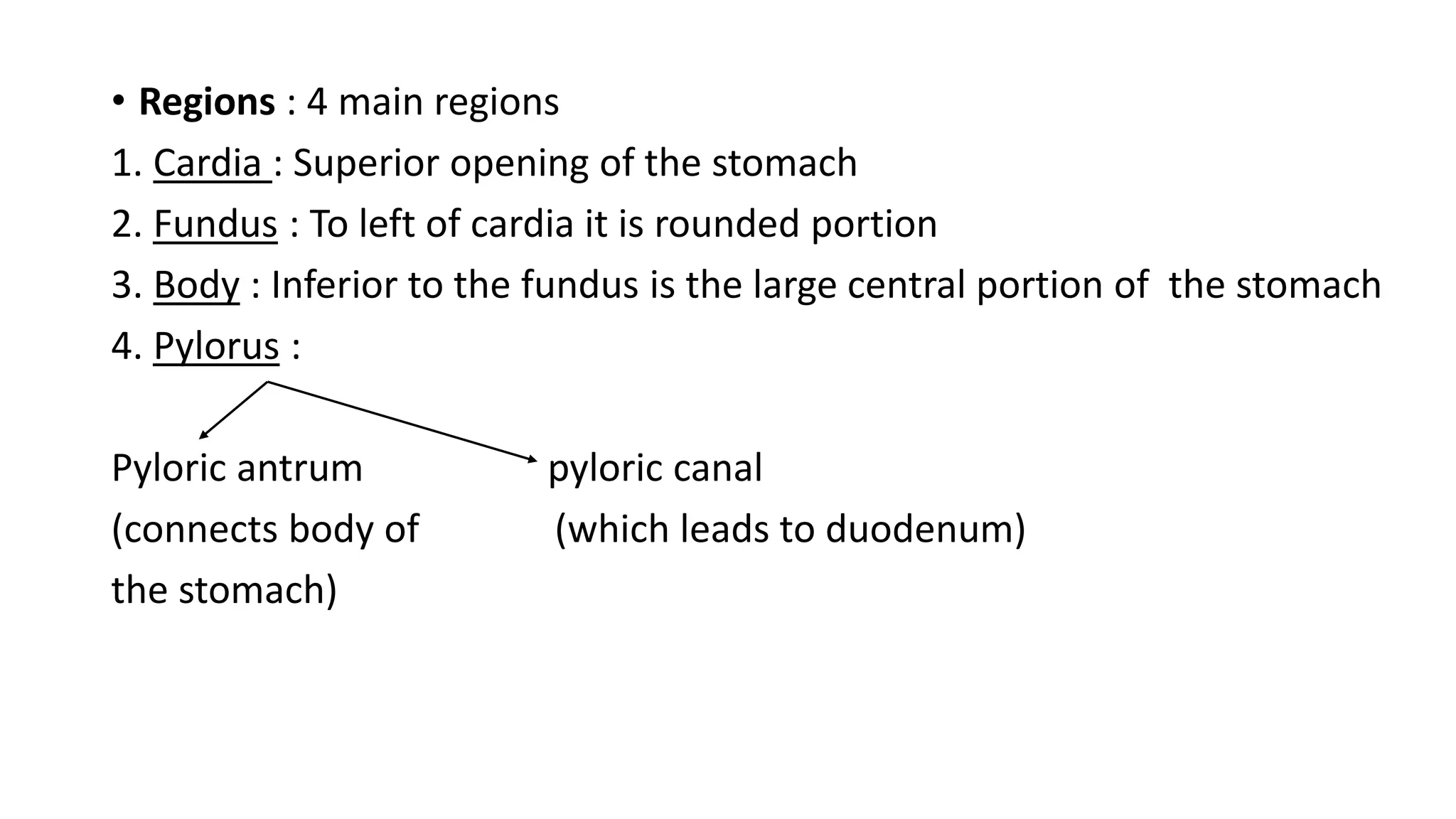 THE DIGESTIVE SYSTEM -digestive system anatomy and physiology | PPTX