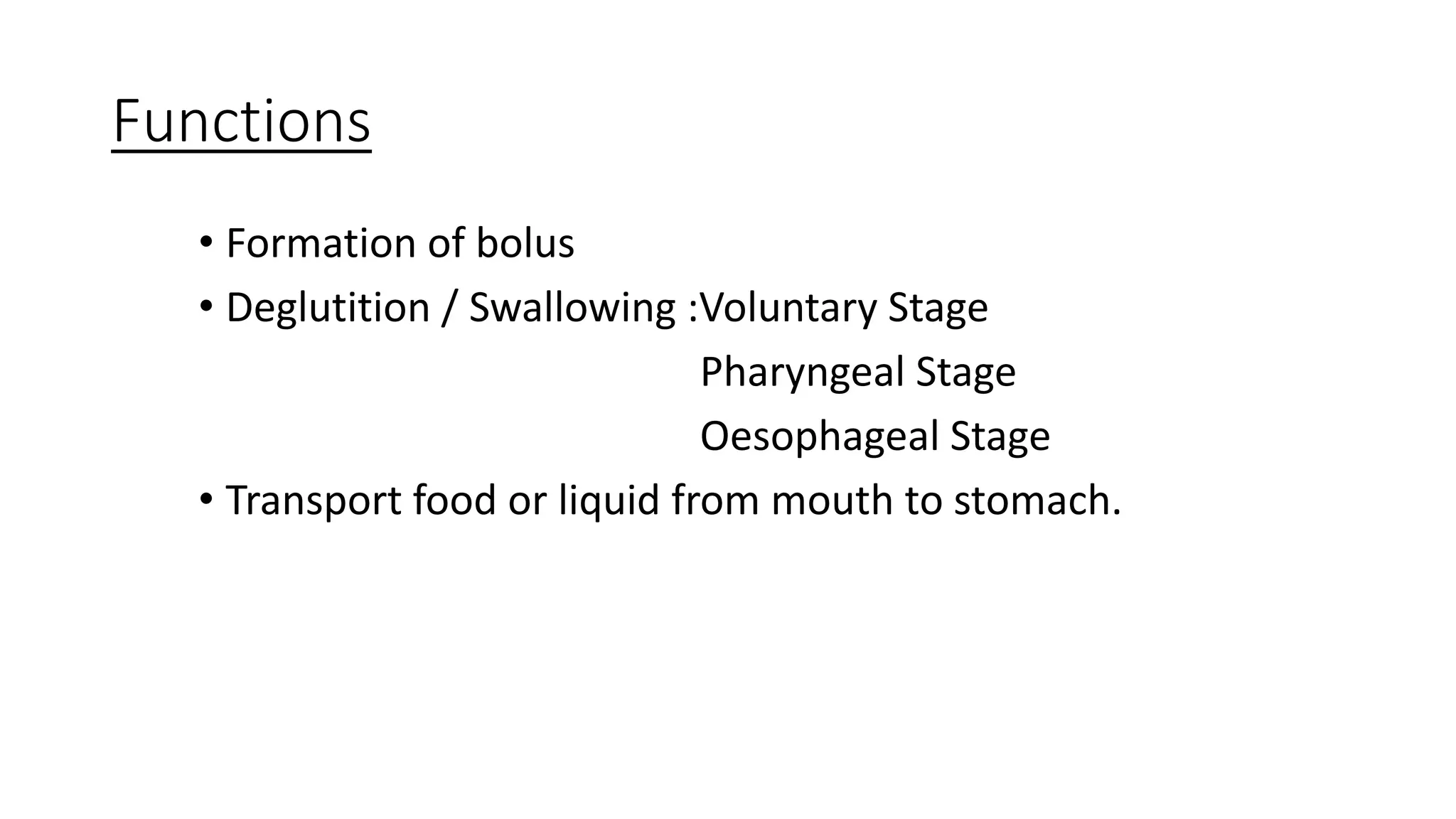 THE DIGESTIVE SYSTEM -digestive system anatomy and physiology | PPTX