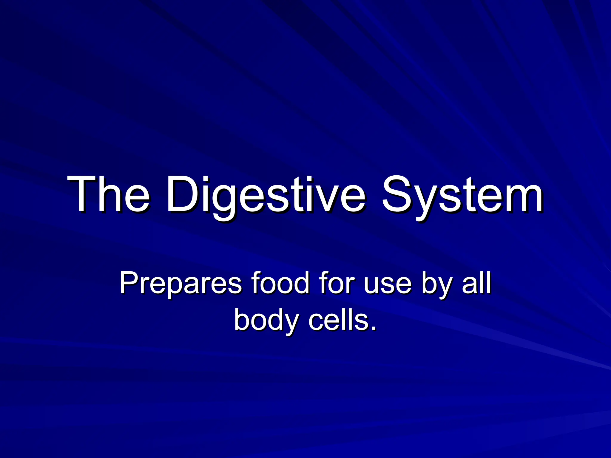 The Digestive system in english to elementary school.ppt