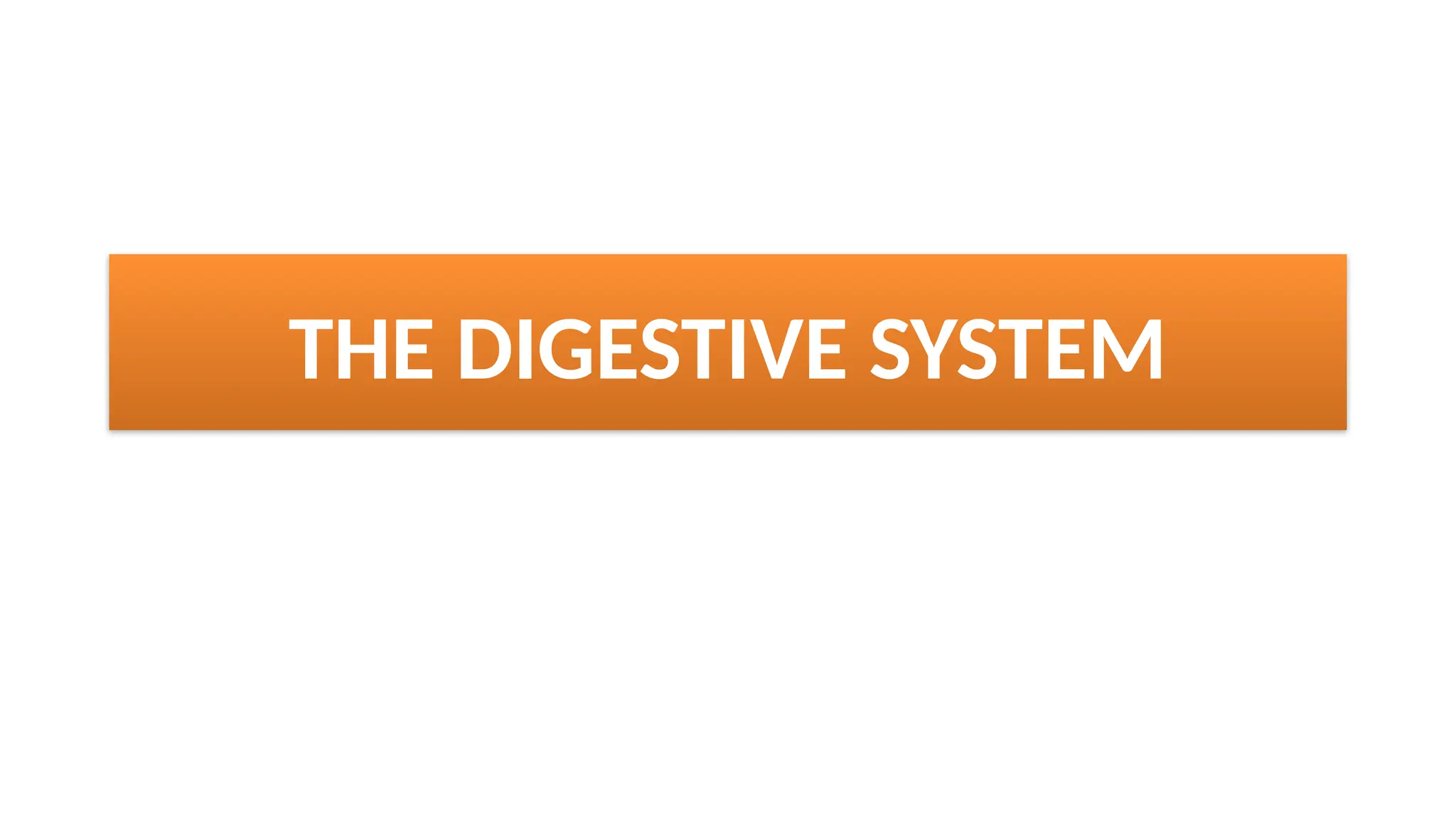 THE case of food absorption and basics on the DIGESTIVE SYSTEM (1).pptx