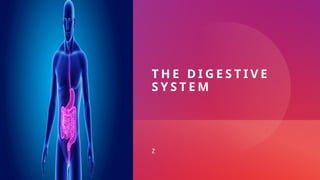 THE DIGESTIVE SYSTEM - ANATOMY PHYSIOLOGY | PPTX