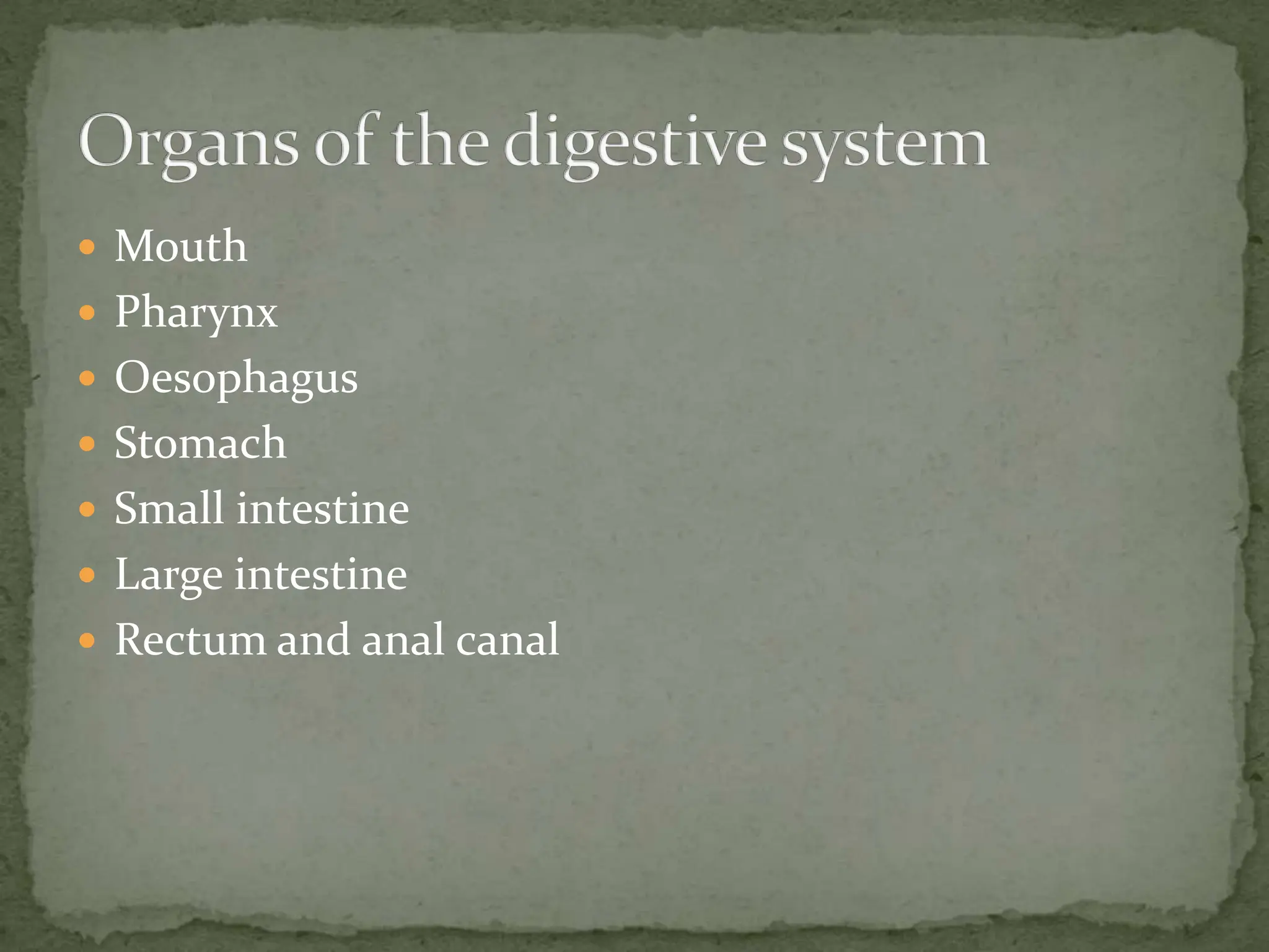 Unit X: The Digestive System AP BSN1SN 01 | PPT | Free Download