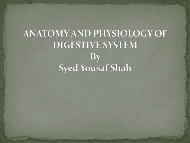 Unit X: The Digestive System AP BSN1SN 01 | PPT