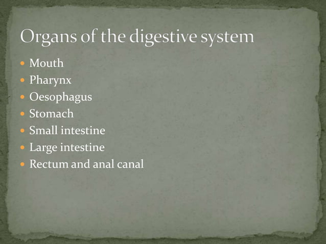 Unit X: The Digestive System AP BSN1SN 01 | PPT
