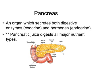 The digestivesystem and disorders | PPTX