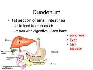 The digestivesystem and disorders | PPTX
