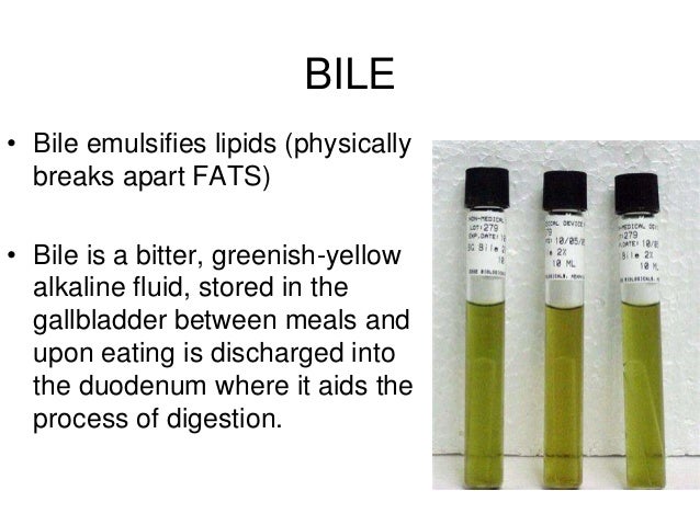 The digestivesystem and disorders