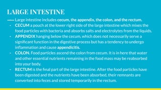 THE DIGESTIVE SYSTEM AND ITS INTERACTION WITH OTHER ORGANS OF THE BODY.pdf
