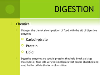 The digestive system by tushar | PPT