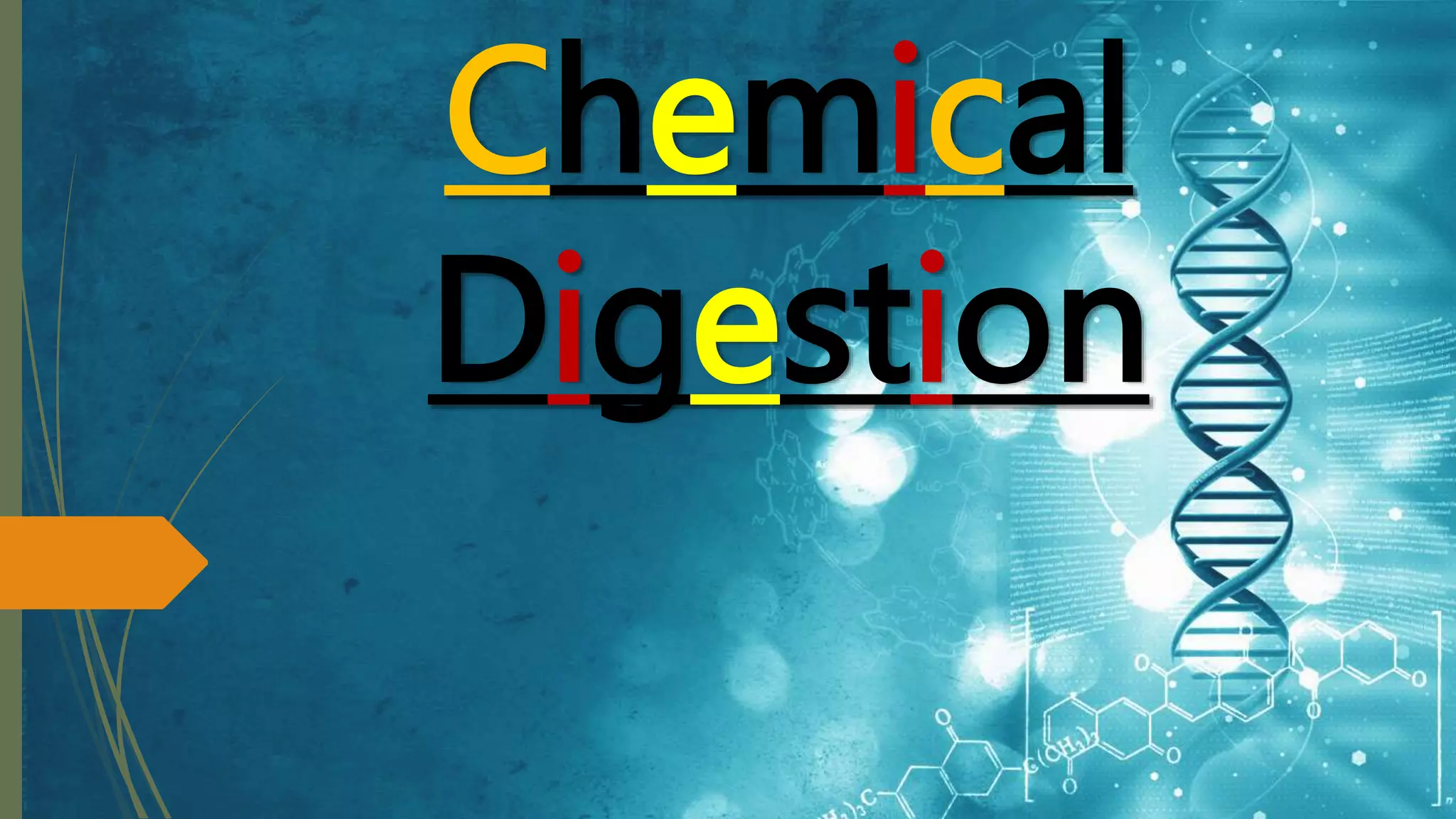 The Digestive System (Chemical Digestion) | PPTX